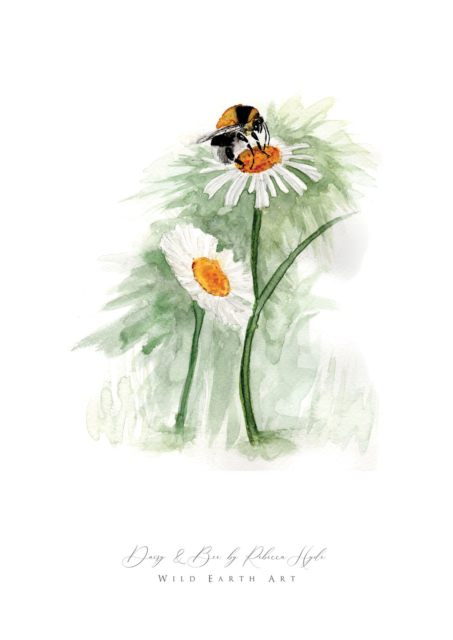 Wild Earth Art - Rebecca Hyde - Oxfordshire Watercolour Artist